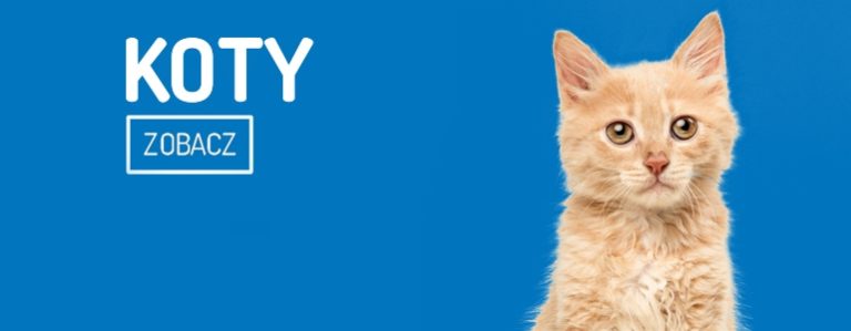 STRONA GŁÓWNA - ZOO Factory